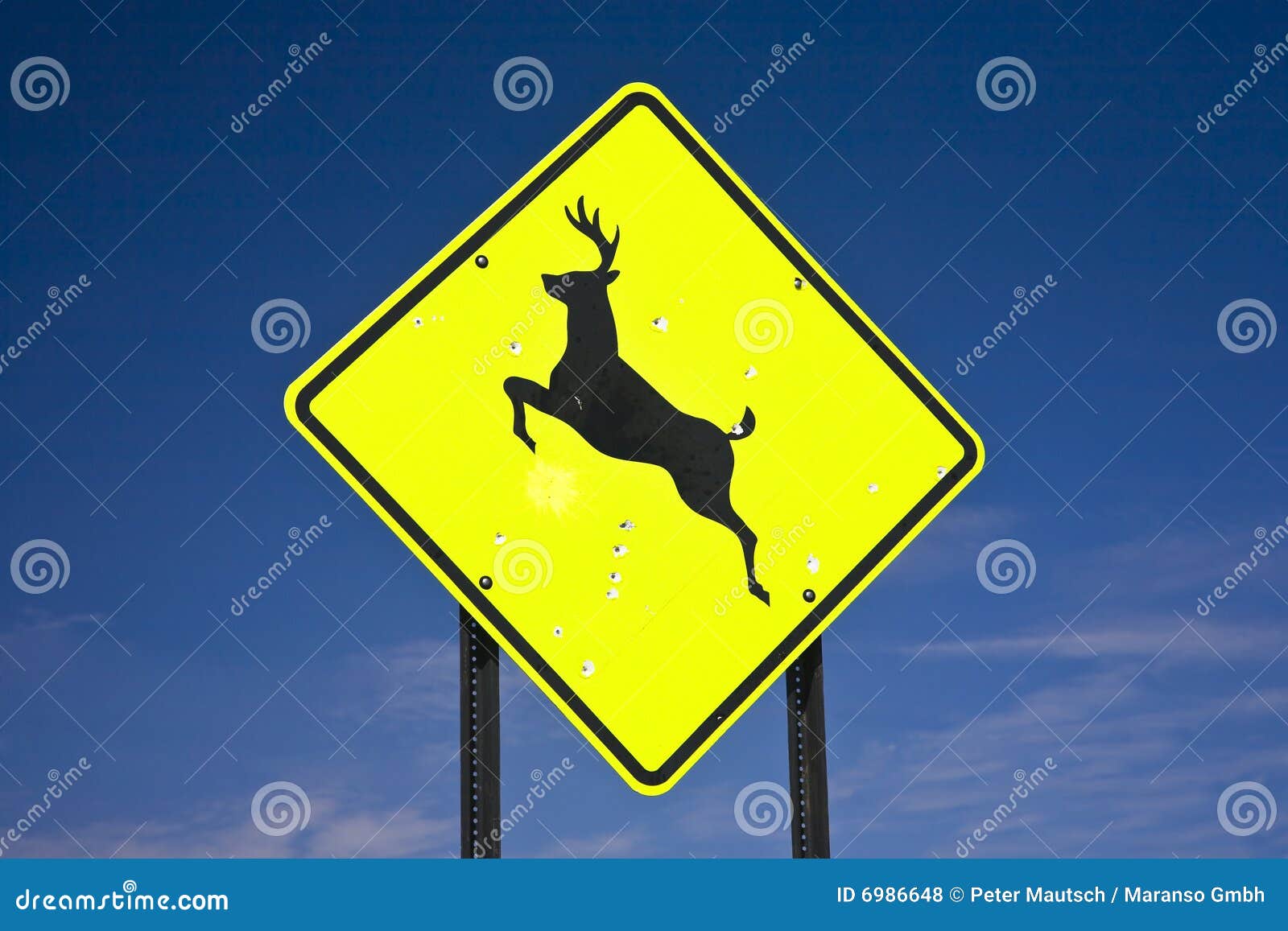 Road sign deer crossing stock photo. Image of caution - 6986648
