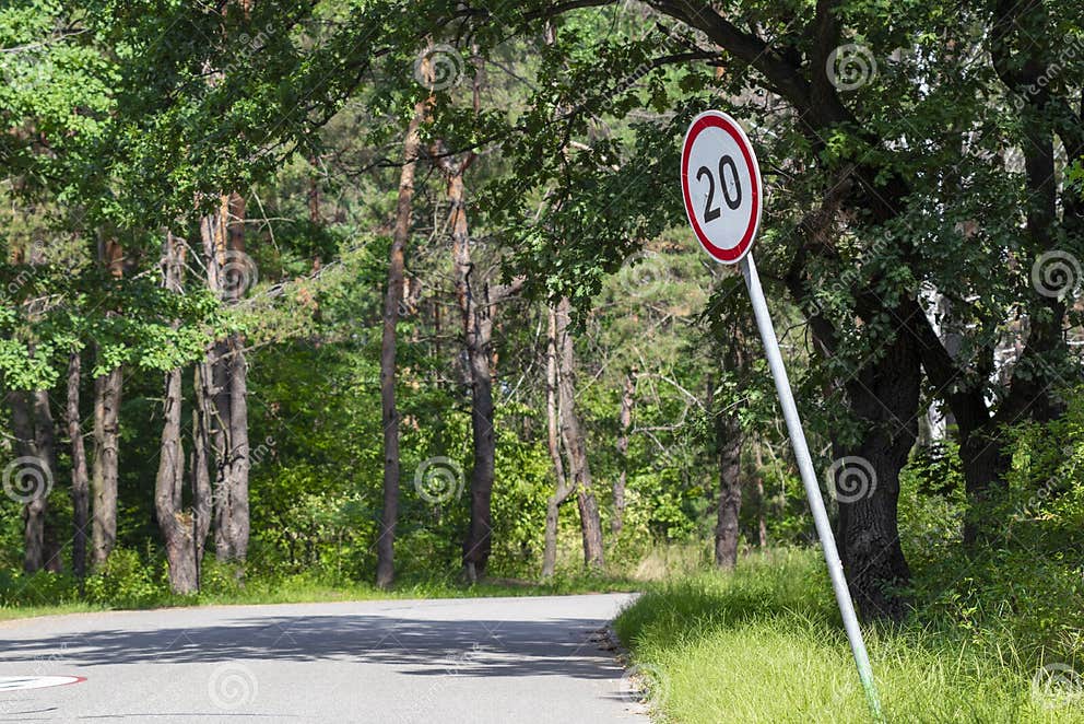 Road sign in the forest. stock photo. Image of signage - 253812224