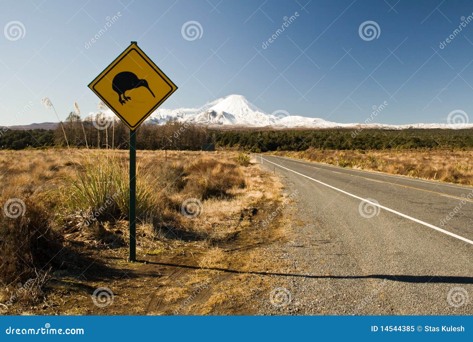Road sign with kiwi stock image. Image of unique, australian - 14544385