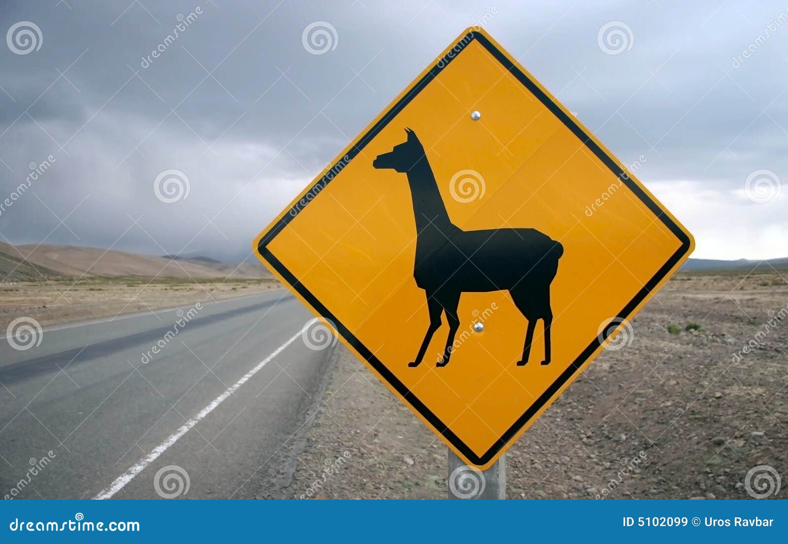 Road sign for lama stock image. Image of notice, summer - 5102099
