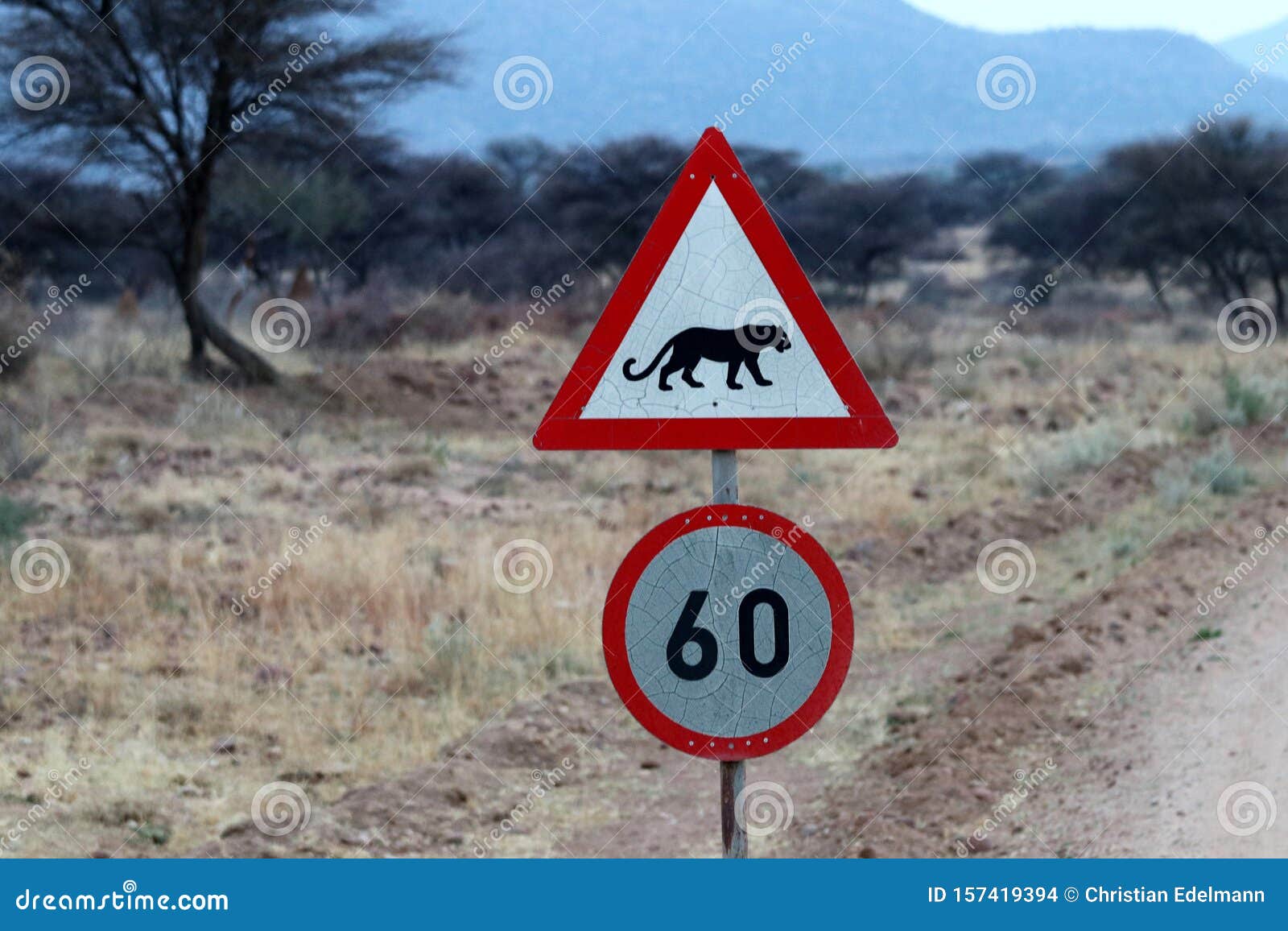 Road Sign with Leopard - Namibia Africa Stock Photo - Image of highway ...