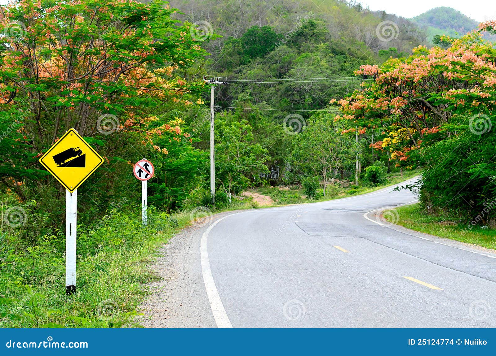 Road Sign beside the Main Road Stock Photo - Image of caution, green ...