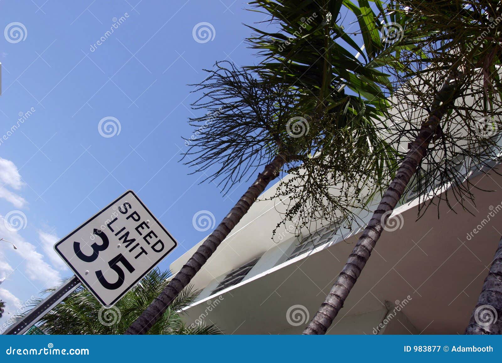 Road Sign With Palm Trees Royalty-Free Stock Photo | CartoonDealer.com ...