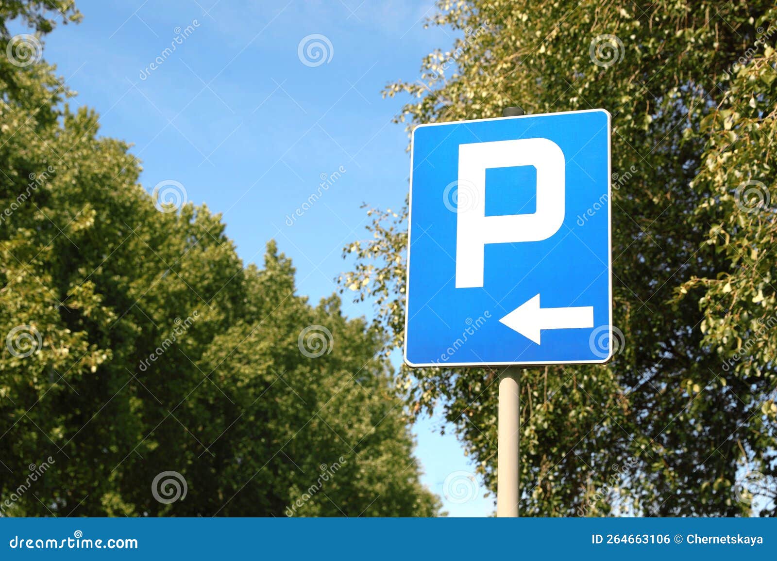 Road Sign Parking Left Near Trees Outdoors. Space for Text Stock Photo ...