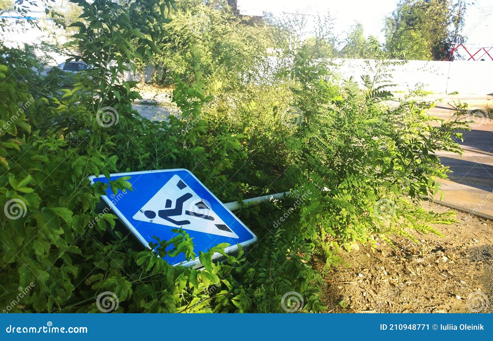 Lying Road Sign `Pedestrian Crossing` in the Bushes Stock Image - Image ...