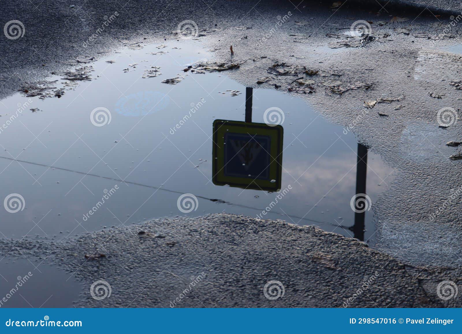 Road Sign, Pedestrian Crossing in the Reflection of a Puddle Stock ...