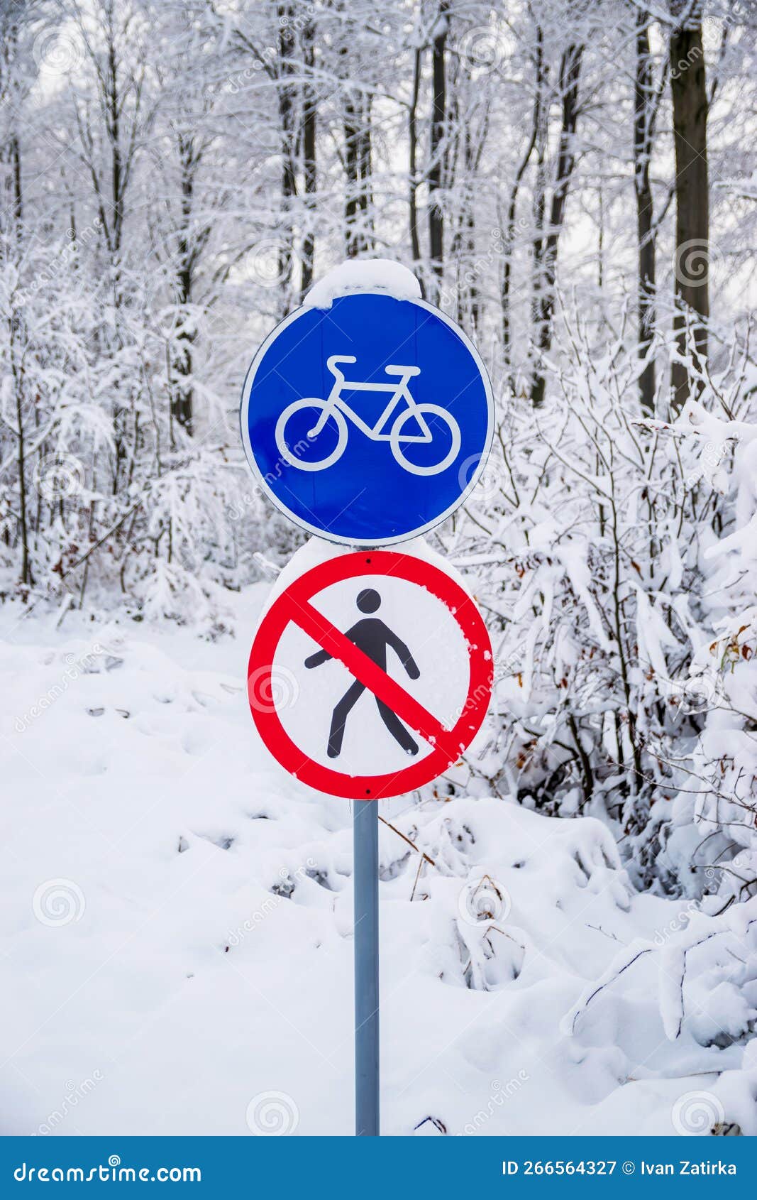 Road Sign Pedestrian Path is Prohibited, only Driving is Allowed, on a ...