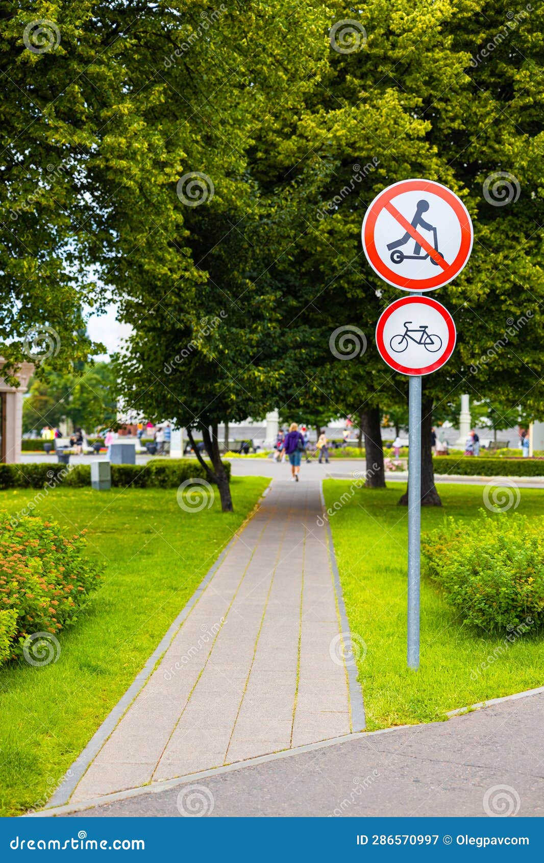 Road Sign with a Picture of a Bicycle on a Cycle Path. Stock Image ...