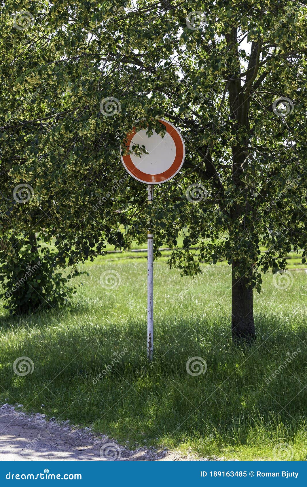 Road Sign Prohibiting the Entry of Motor Vehicles, Which is Hidden ...