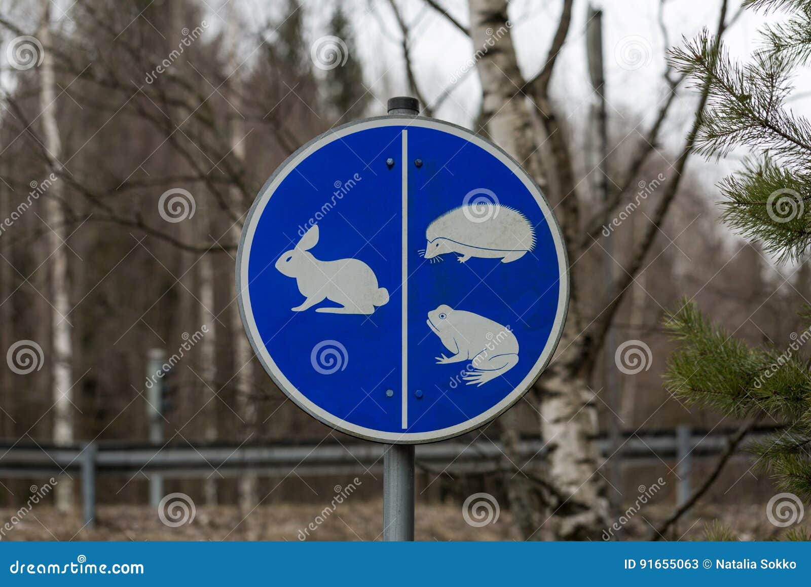 Road Sign with Rabbit, Frog and Hedgehog Stock Image - Image of ...