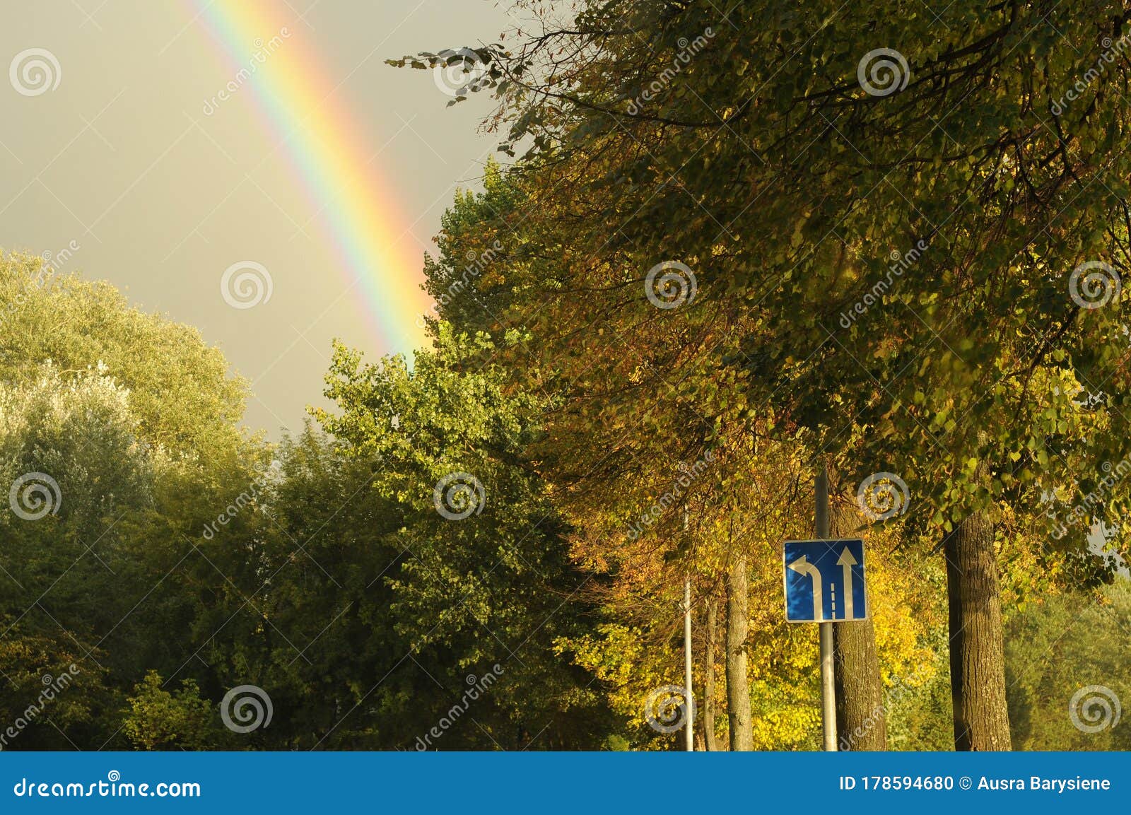Road Sign and Rainbow Over the Trees Stock Photo - Image of landscape ...