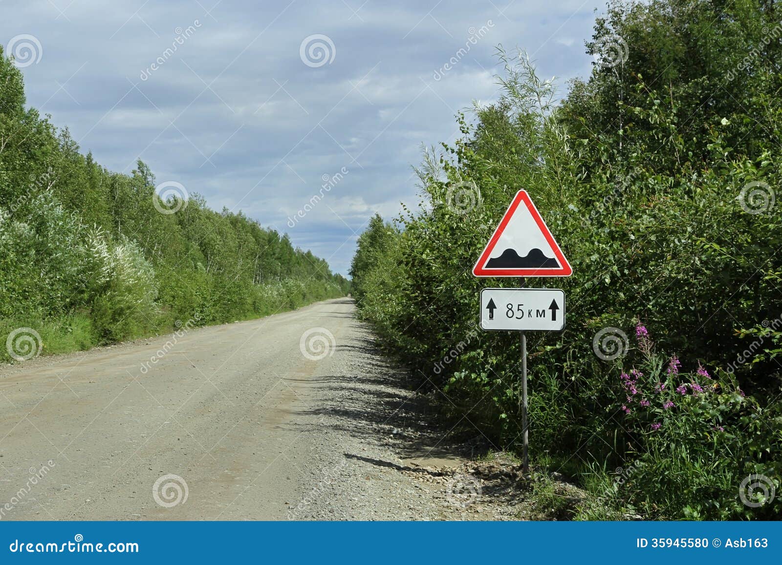 Road sign stock photo. Image of nature, outdoors, trees - 35945580