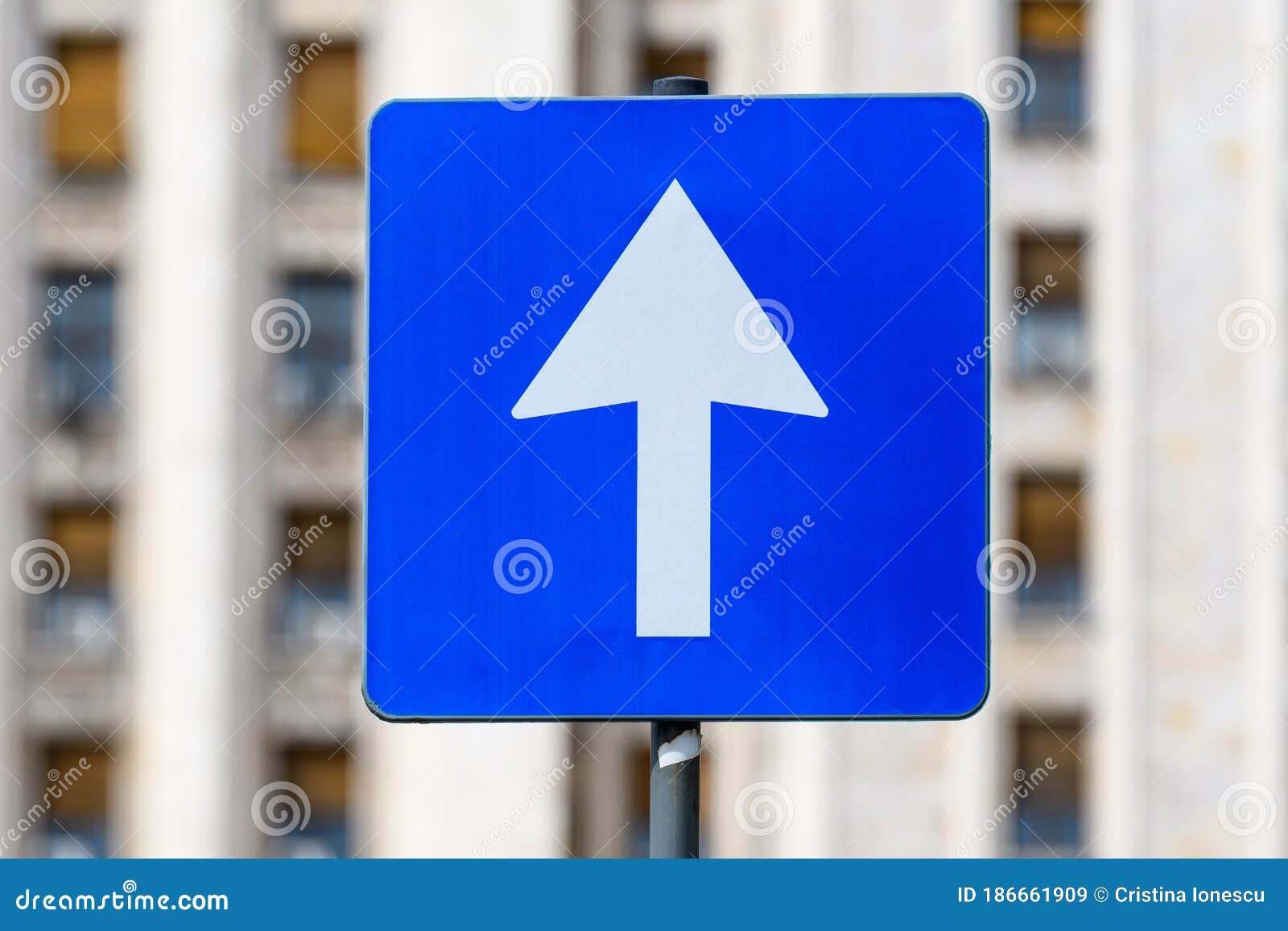 Road Sign for Single Circulation Direction, White Arrow on Blue Panel ...