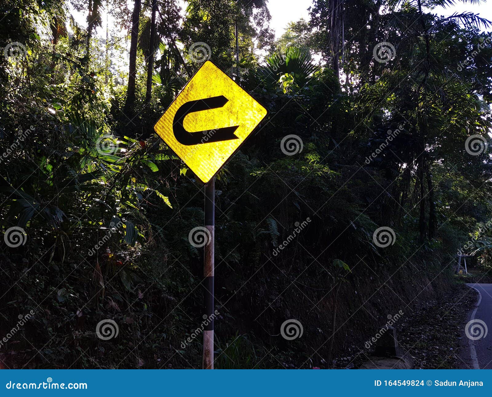 Road Sign in Sri Lanka Forest Stock Photo - Image of sign, forest ...