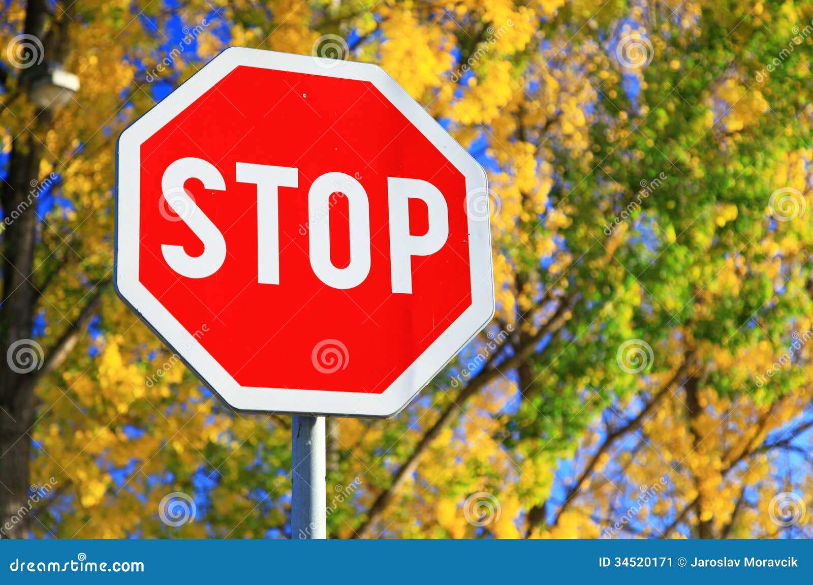 Road sign STOP stock image. Image of street, stop, leaves - 34520171