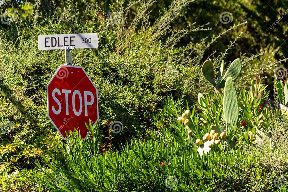 Road Sign Stop in the Bush. Road Caution Concept Stock Image - Image of ...