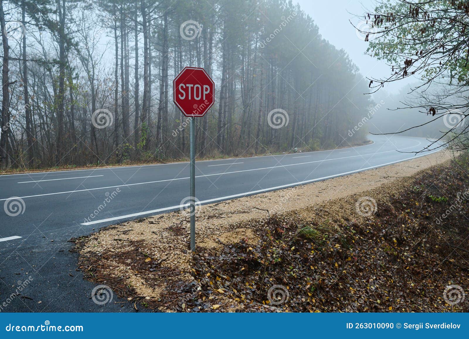 Road Sign Stop at the Forest Road in the Fog Stock Photo - Image of ...