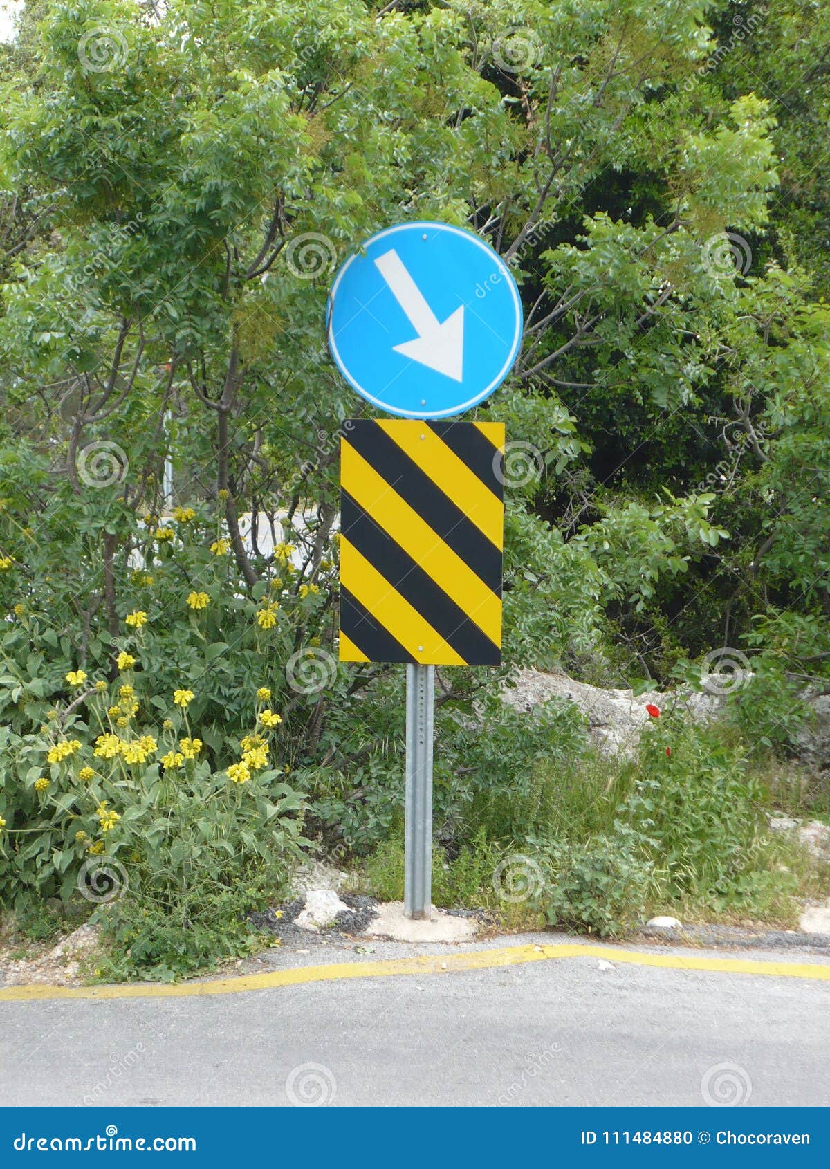 Obstruction on the right. stock photo. Image of tree - 111484880