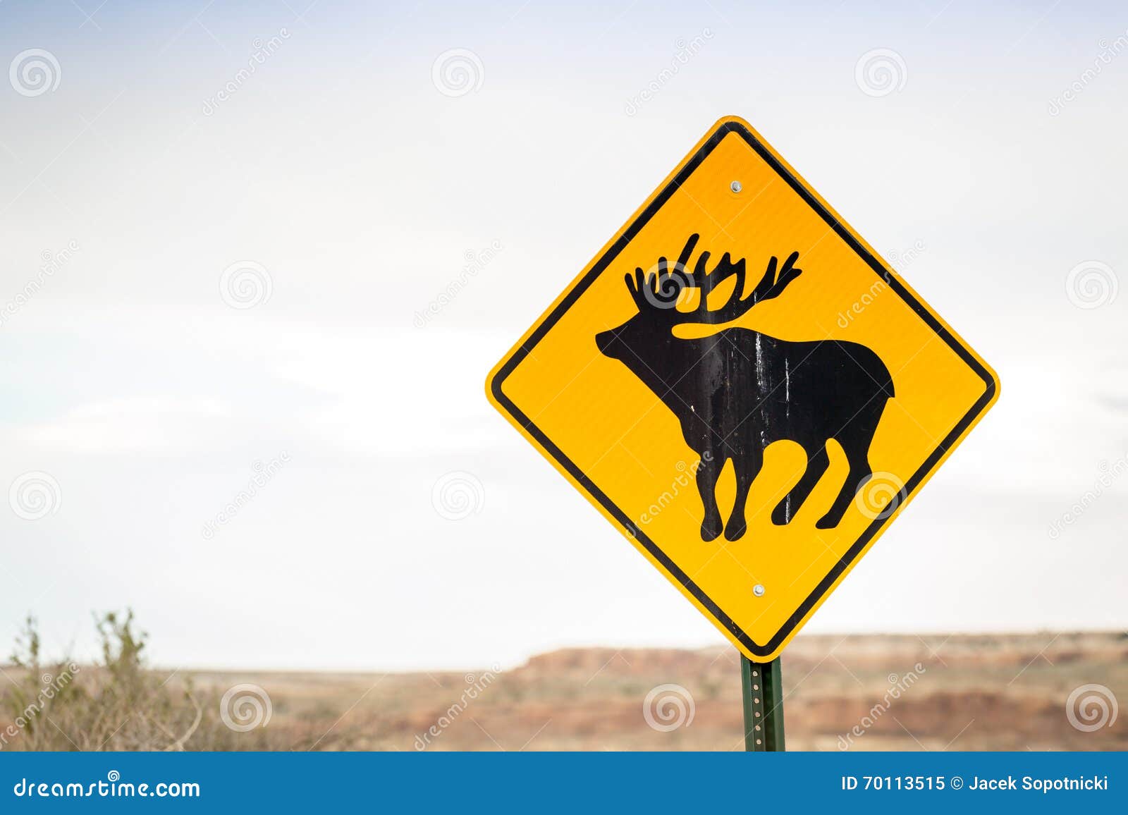 Road Sign Warning Against Wild Animals Stock Image - Image of black ...