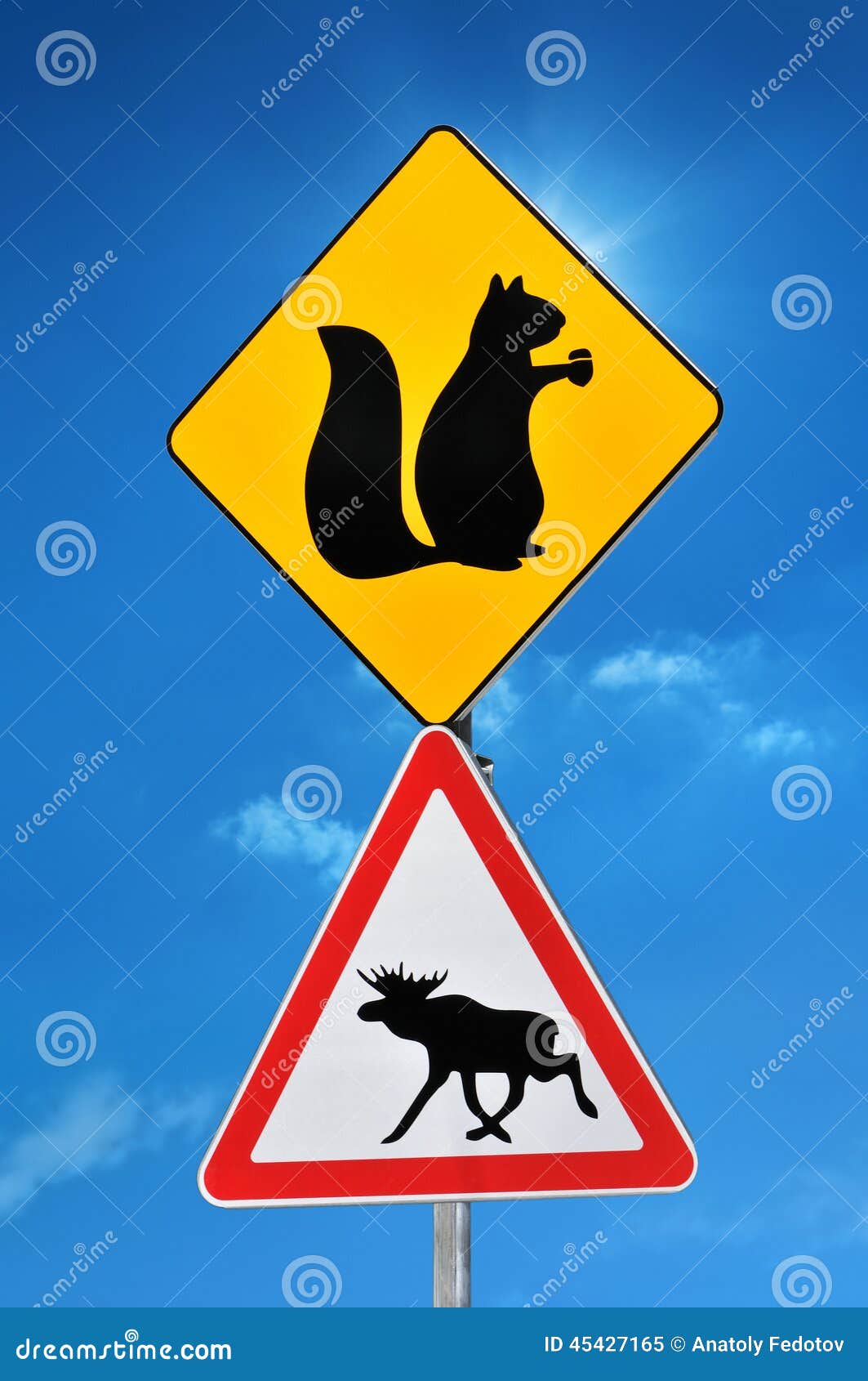Road Sign Warning about the Animals on the Road Stock Image - Image of ...