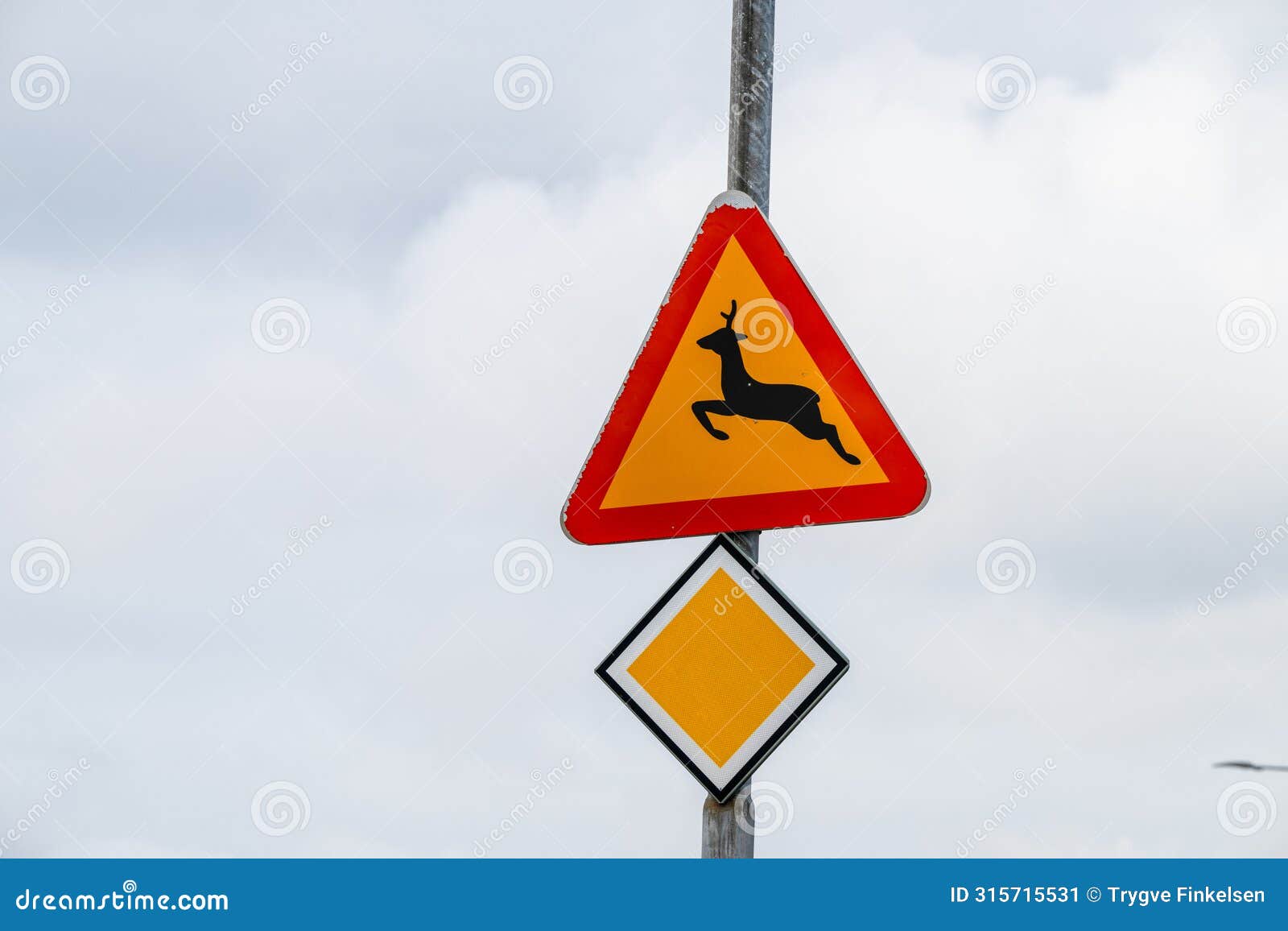 Road Sign Warning for Deer Crossing.. Stock Image - Image of white ...