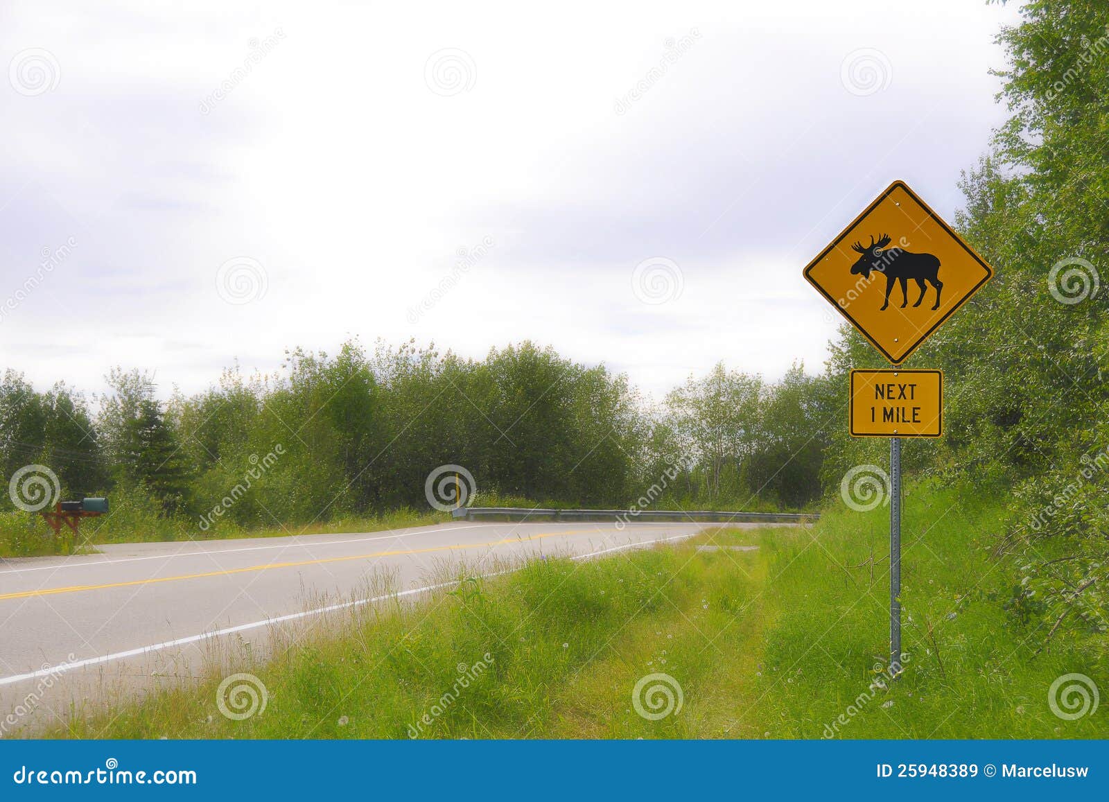Road Sign Warning Moose stock image. Image of nature - 25948389