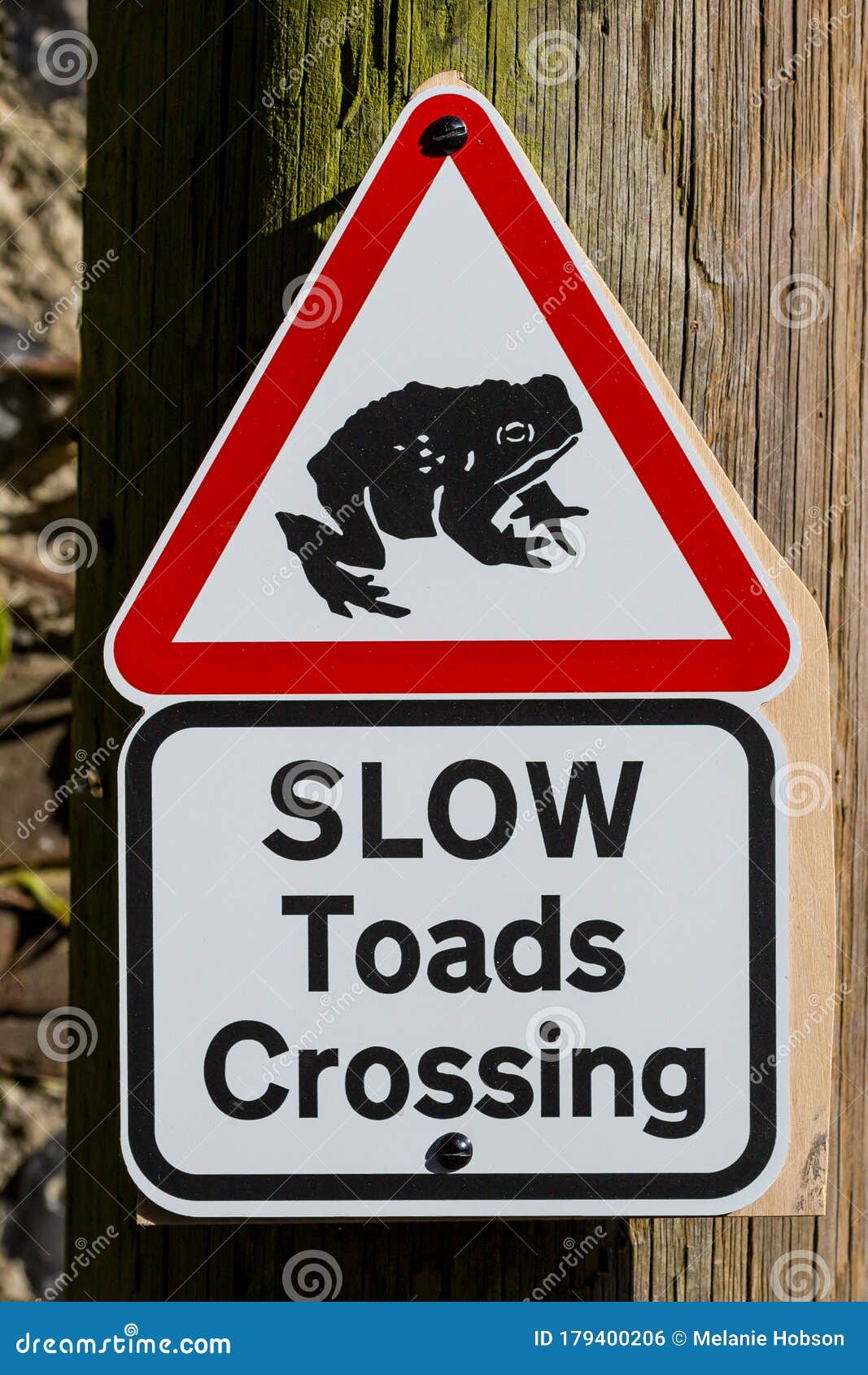 A Toad Sign stock photo. Image of toads, type, europe - 179400206