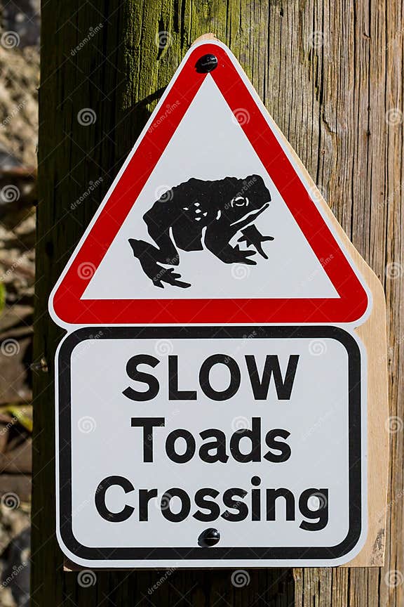 A Toad Sign stock photo. Image of toads, type, europe - 179400206