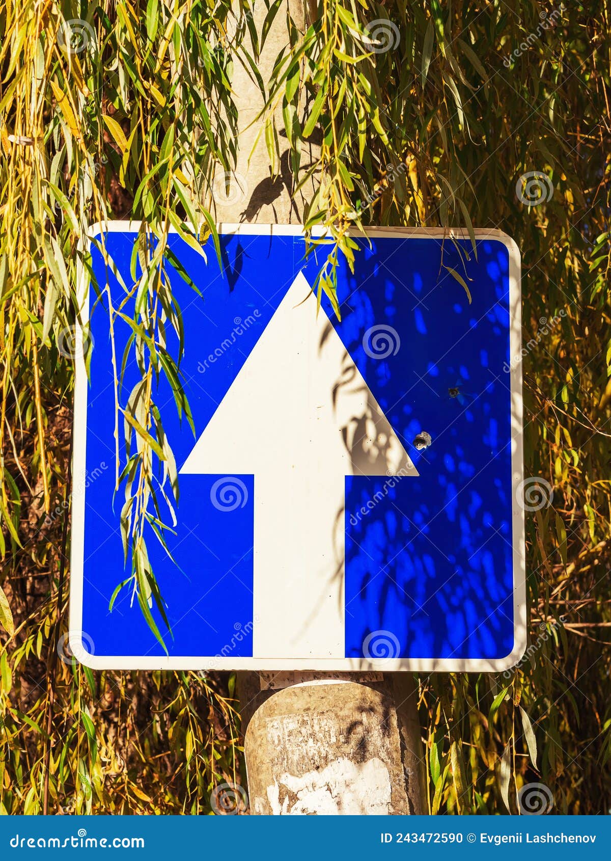 A Road Sign with a White Arrow in a Blue Square is Located on a Pole in ...