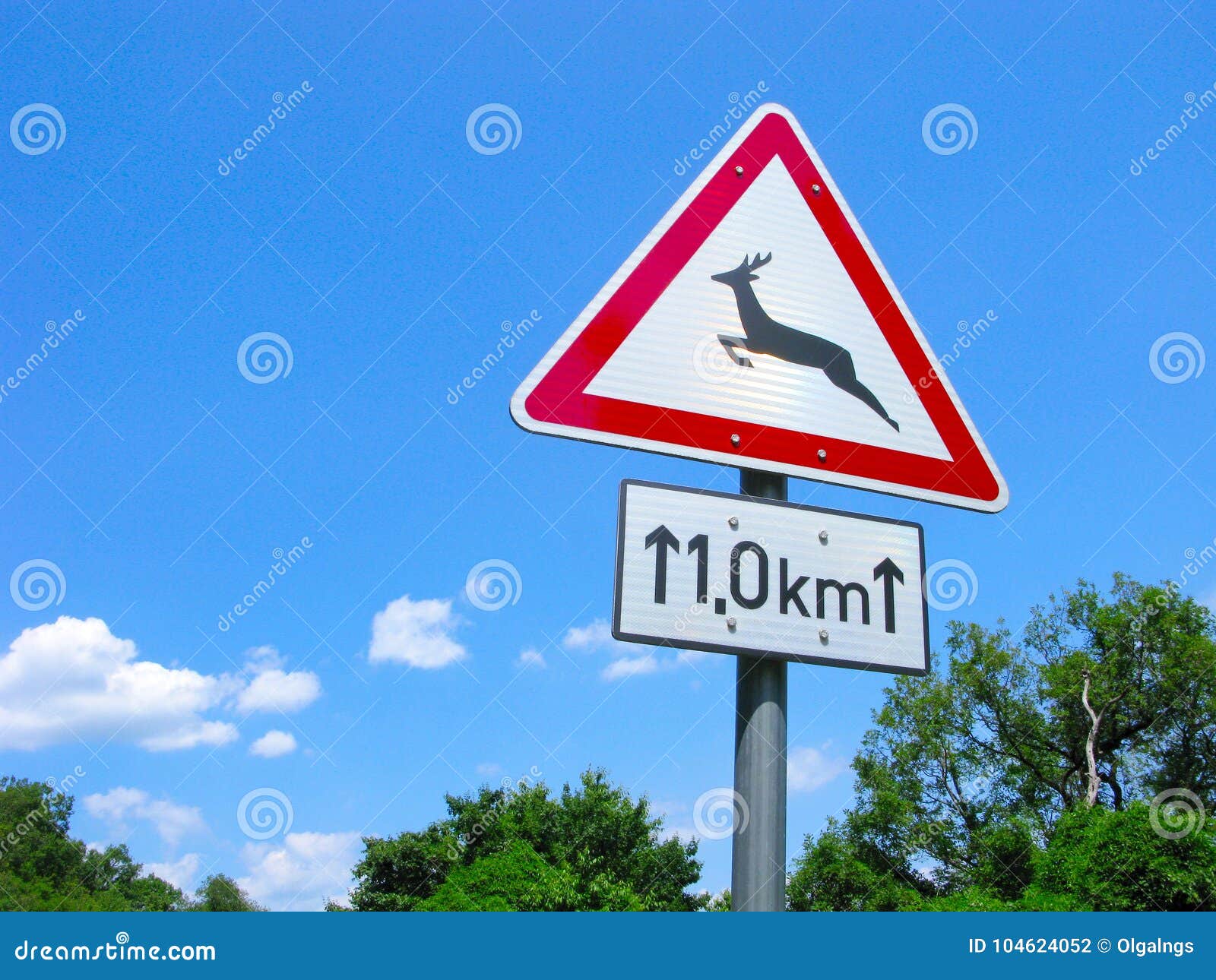 Road sign Wild animals stock photo. Image of nature - 104624052