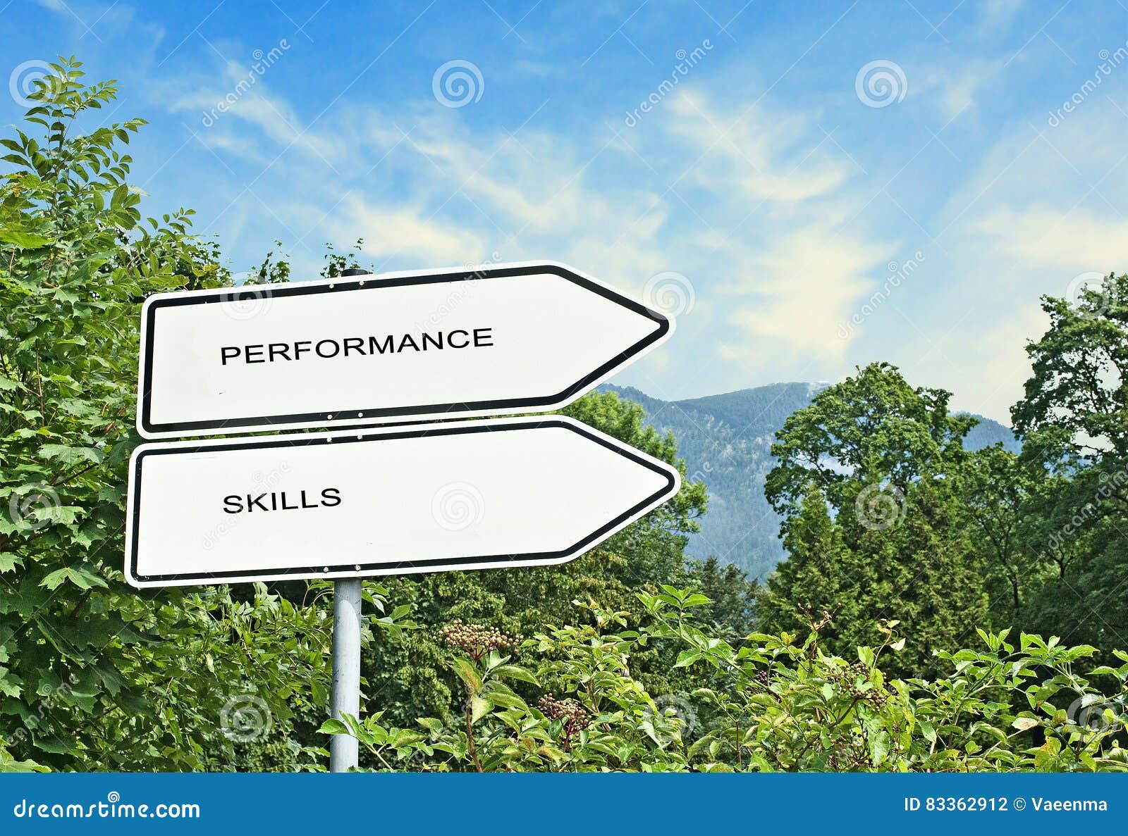 Road Sign with Words Performance and Skill Stock Photo - Image of road ...