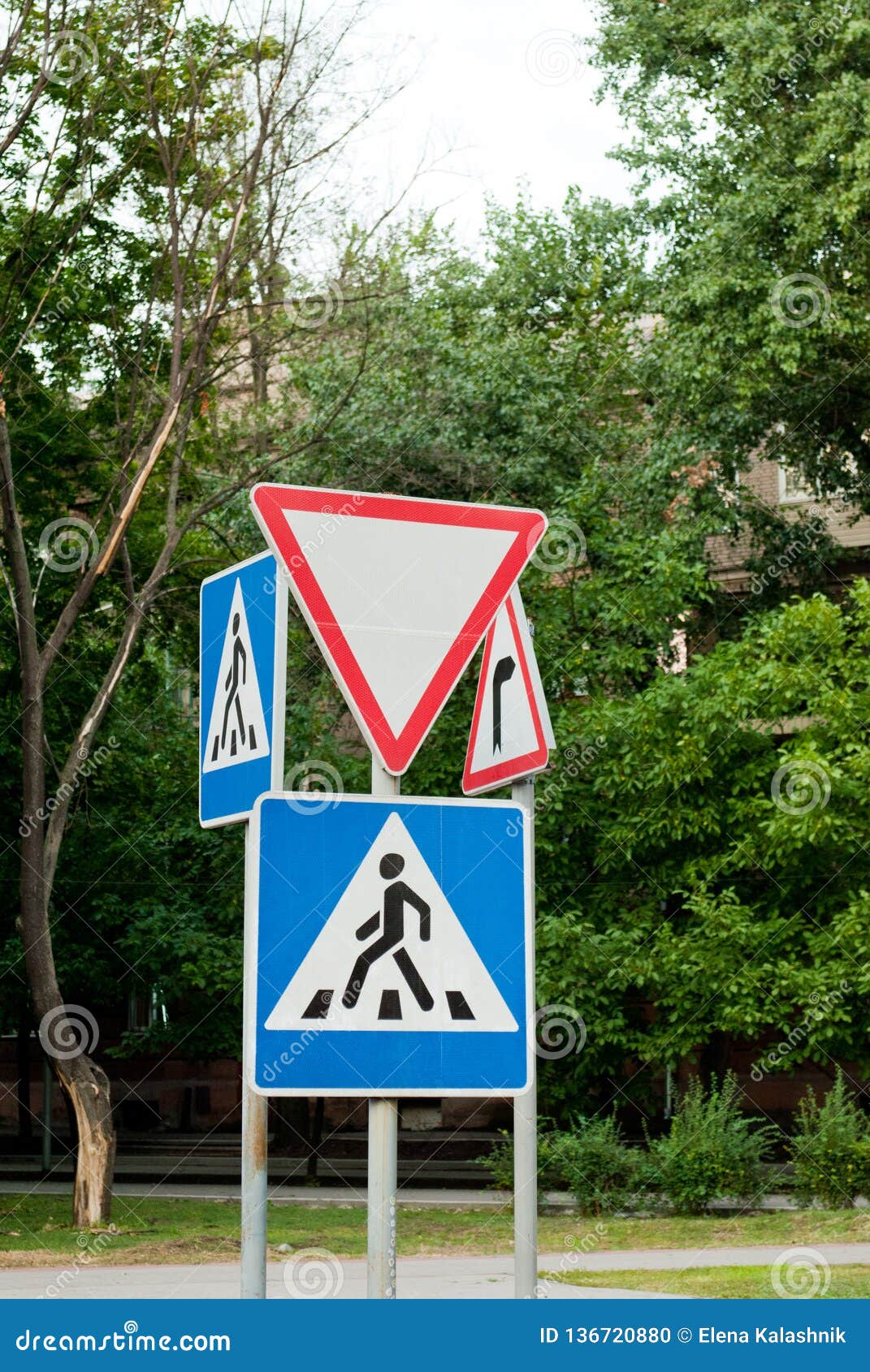 Road Signs on a Background of Trees, Give Way, Pedestrian Crossing ... Road Signs on a Background of Trees, Give Way, Pedestrian Crossing ...