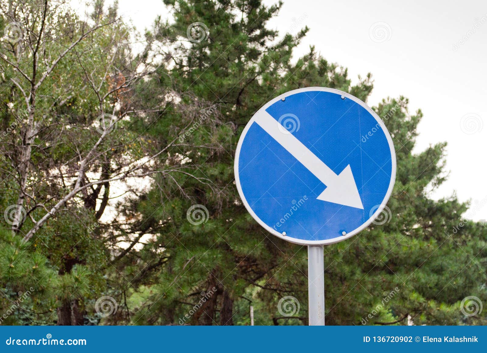 Road Signs, Road Sign, Driving Direction on a Background of Trees Stock ...