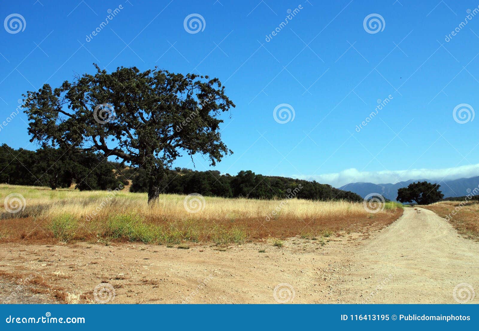 Road, Sky, Ecosystem, Field Picture. Image: 116413195