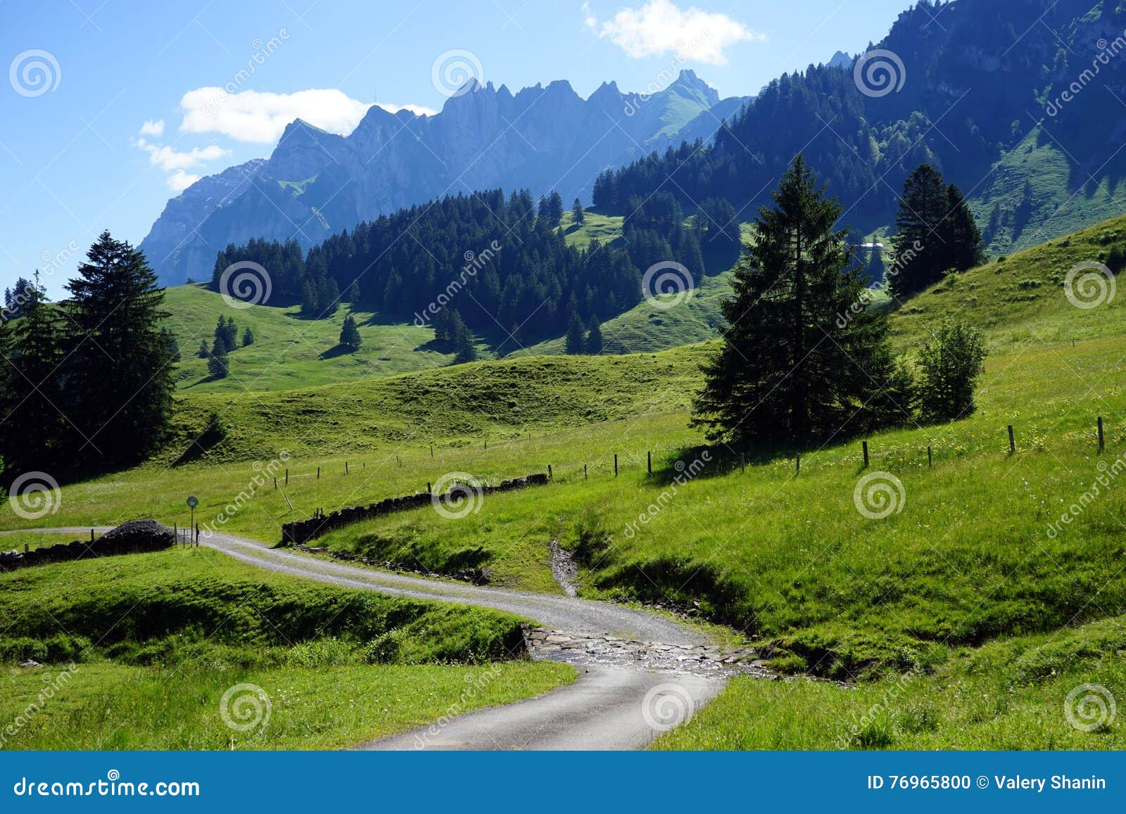 Road on the slope stock photo. Image of tree, pasture - 76965800