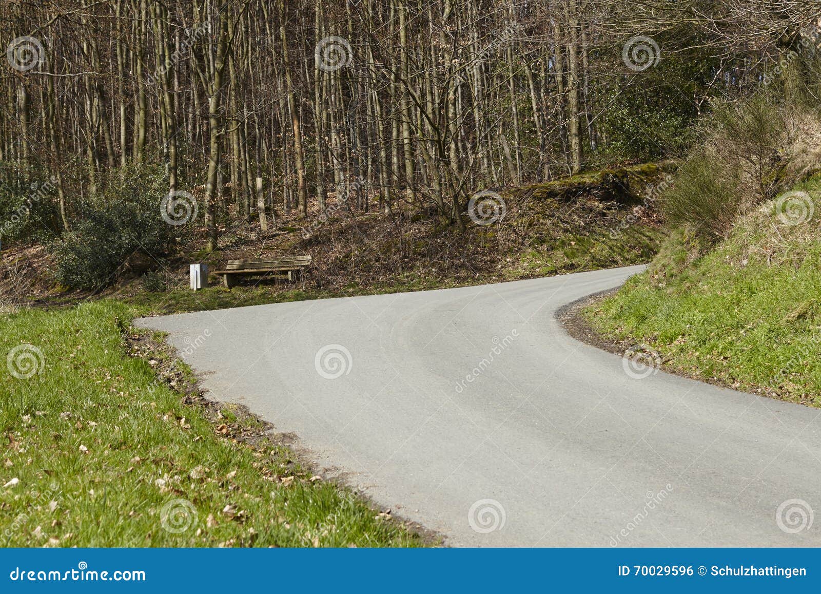 Road - Small Road at the Edge of a Wood Stock Photo - Image of wood ...