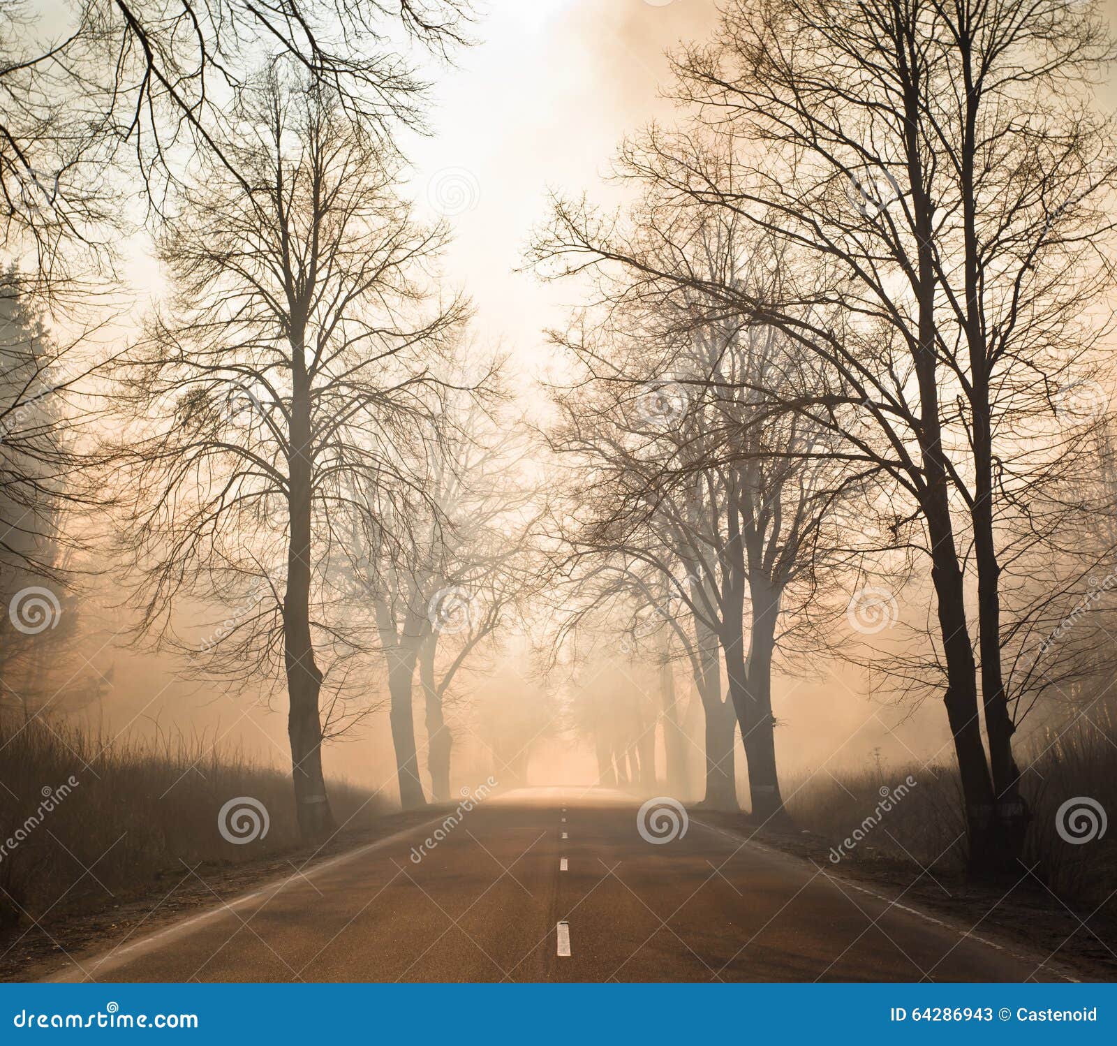 Road in the smoke stock image. Image of burning, urban - 64286943