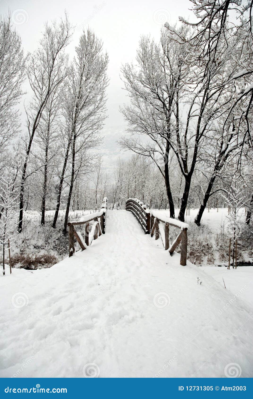 Road in the snow stock image. Image of desert, peaceful - 12731305