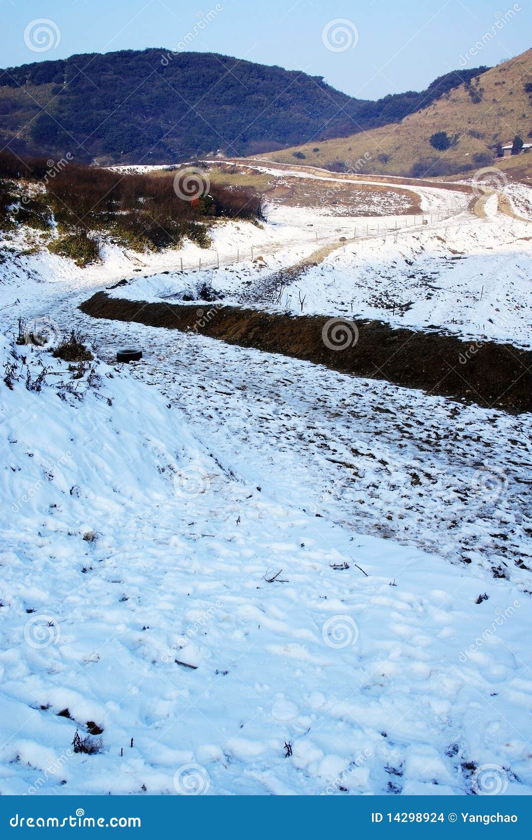 Road with snow stock photo. Image of snow, tree, winter - 14298924