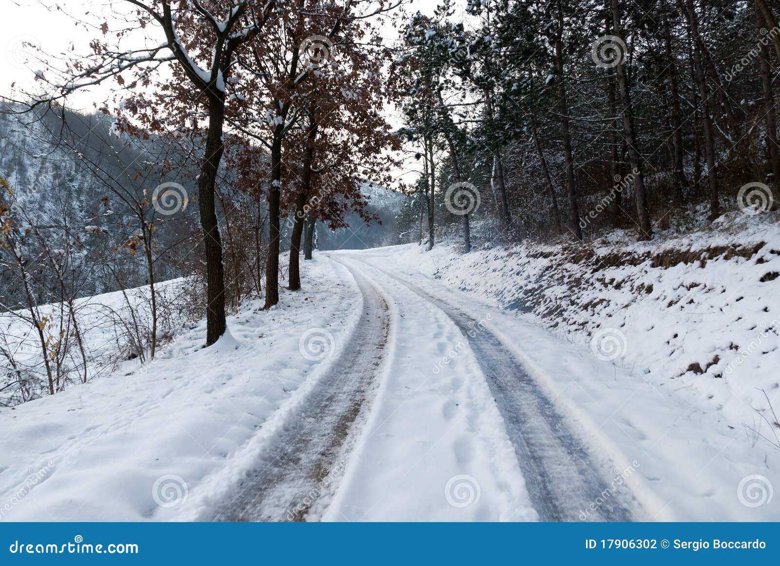 Road with snow stock photo. Image of snow, landscape - 17906302