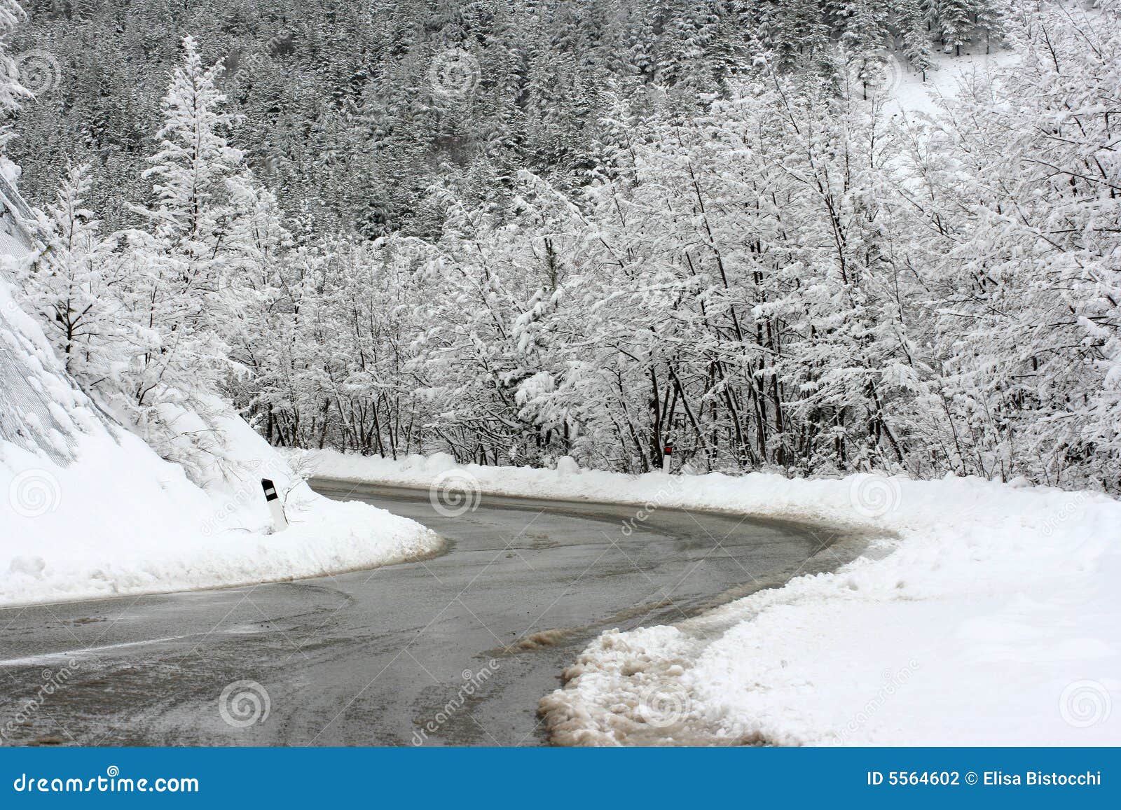 Road in the snow stock photo. Image of snow, destination - 5564602