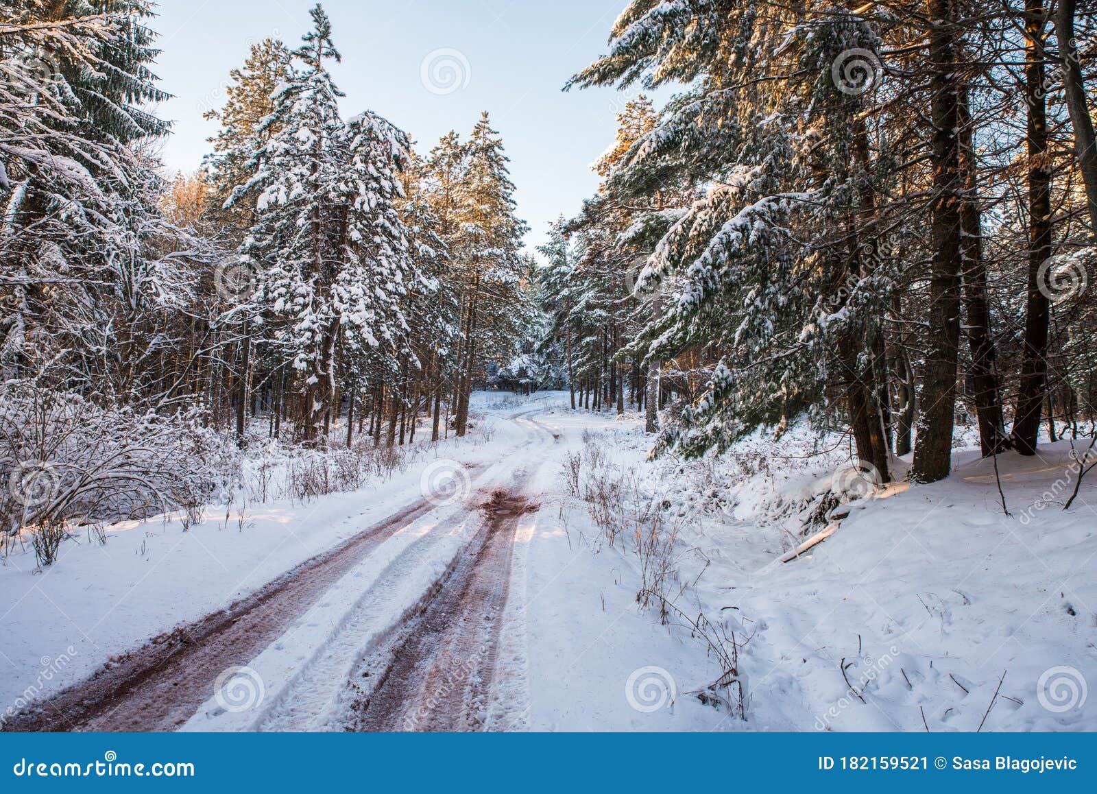 Road with snow stock image. Image of beautiful, asphalt - 182159521