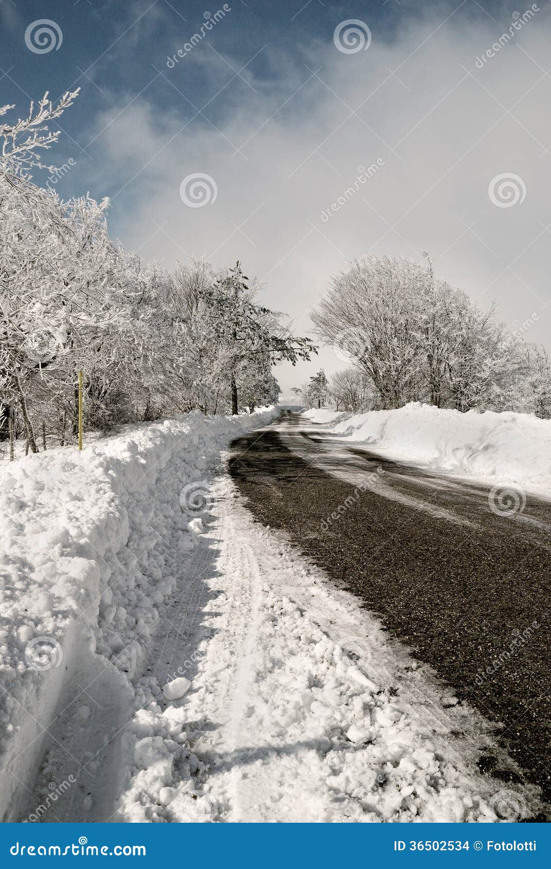 Road in the snow stock photo. Image of amazing, morning - 36502534