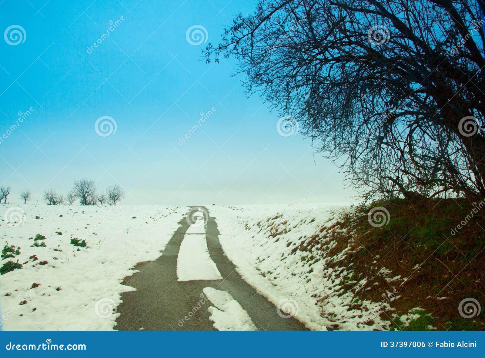 Road in the snow stock photo. Image of tranquil, falling - 37397006