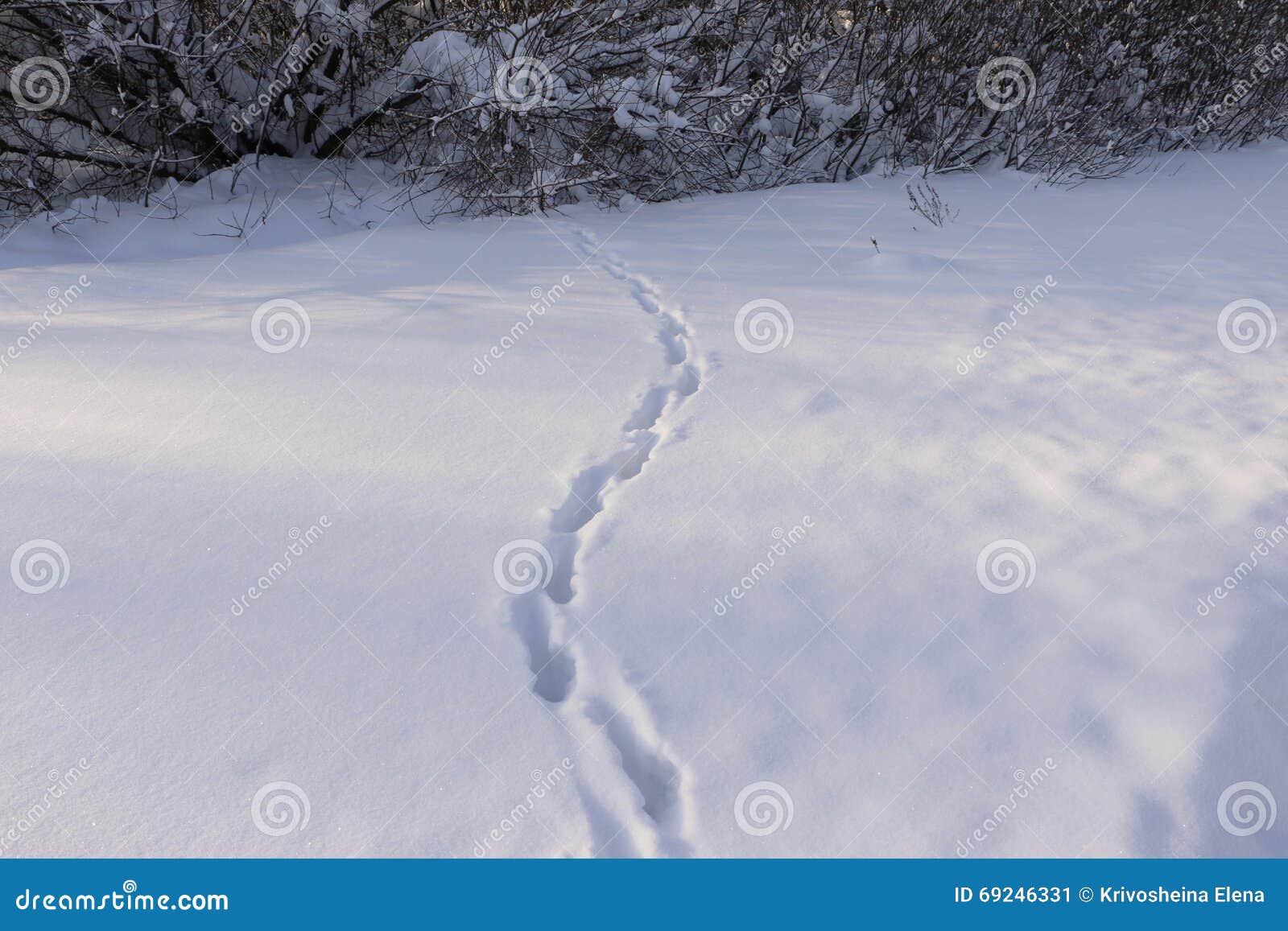 Road in snow in winter day stock image. Image of perspective - 69246331