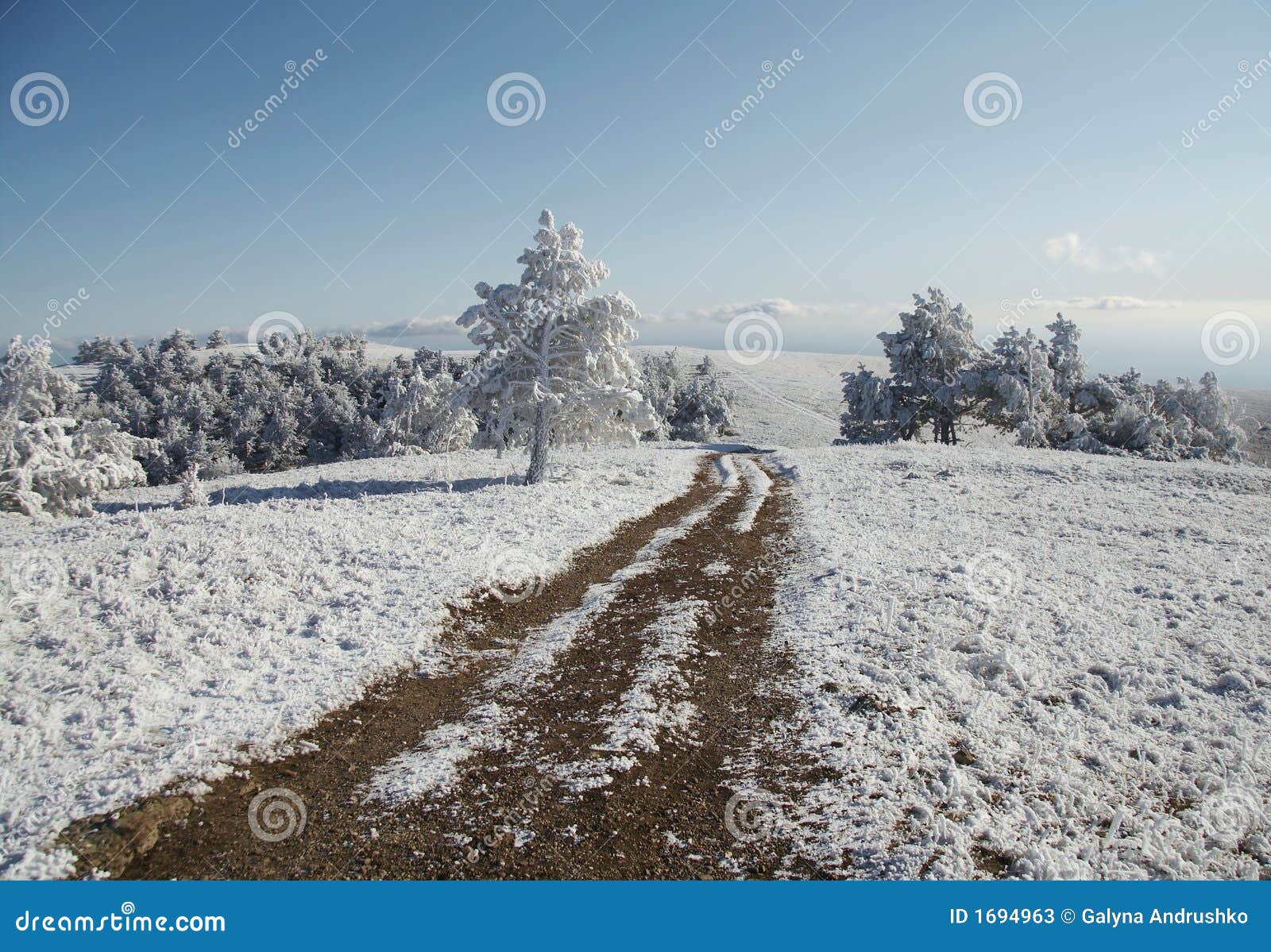 Road,snowcowered Grassland and Trees Stock Image - Image of forest ...