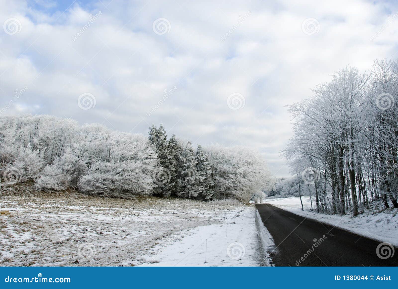 Road in snowy countryside stock photo. Image of hoar, cold - 1380044