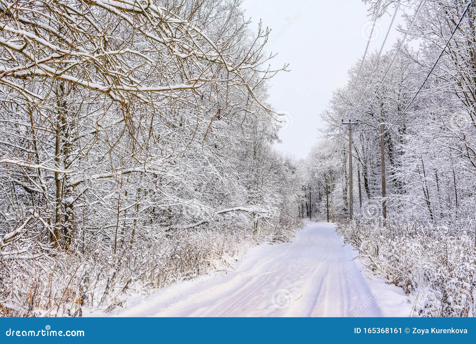 Road on a Snowy December Day in the Countryside Stock Image - Image of ...