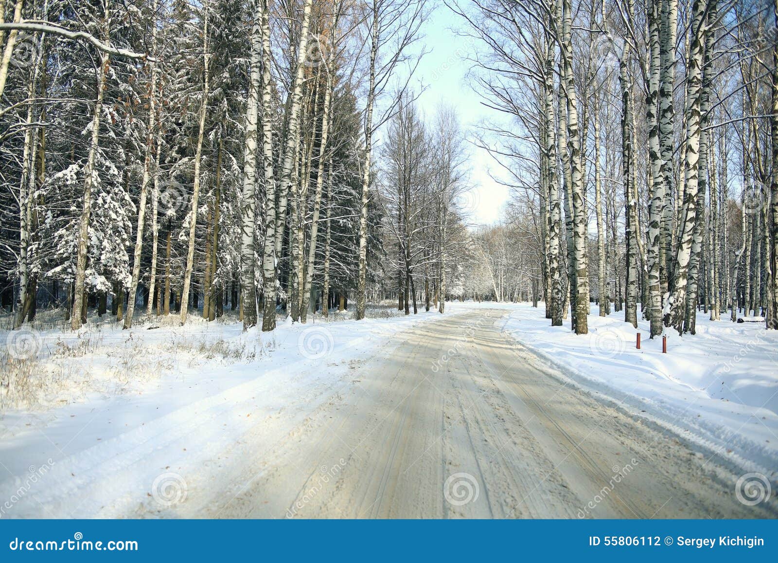 Road in snowy forest stock photo. Image of scene, chains - 55806112