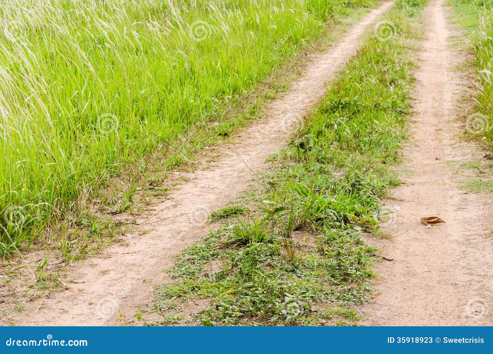 Road soil stock image. Image of cloud, ecology, summer - 35918923